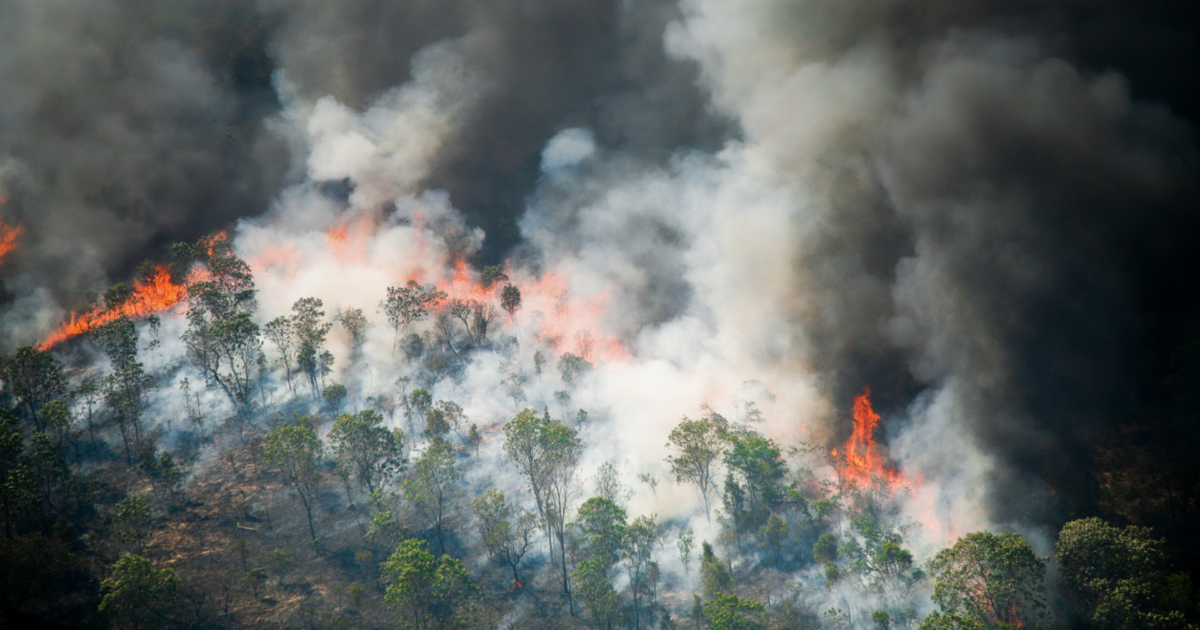 Wildfires, climate change and air pollution: a vicious cycle - Clean ...