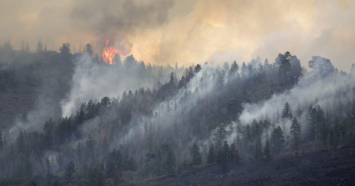 Climate and air pollution - Clean Air Fund